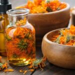 Cómo y cuándo plantar CALÉNDULA (cuidados paso a paso)