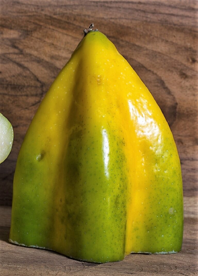 Babaco (Carica pentagona): Beneficios y Cultivo de esta fruta