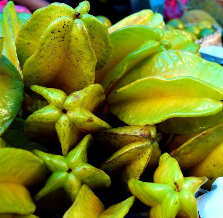 Babaco (Carica pentagona): Beneficios y Cultivo de esta fruta