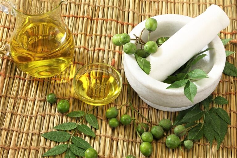 Aceite de NEEM: ¿Cómo usar este genial insecticida natural?