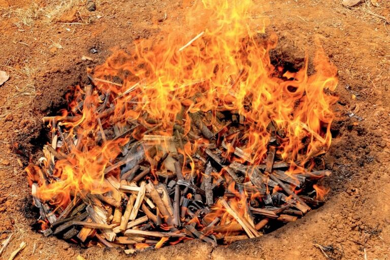 Biochar: Qué es, Cómo hacerlo casero y Dónde comprarlo