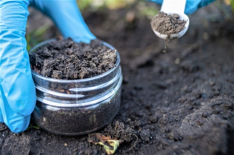 Importancia del CALCIO en las plantas: ¿Cómo usarlo bien?