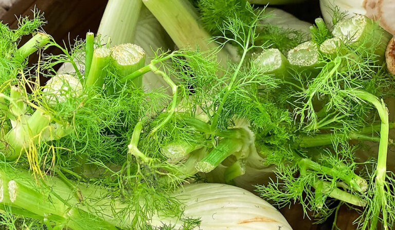 Eneldo e Hinojo: Descubre sus 7 diferencias (guía con fotos)