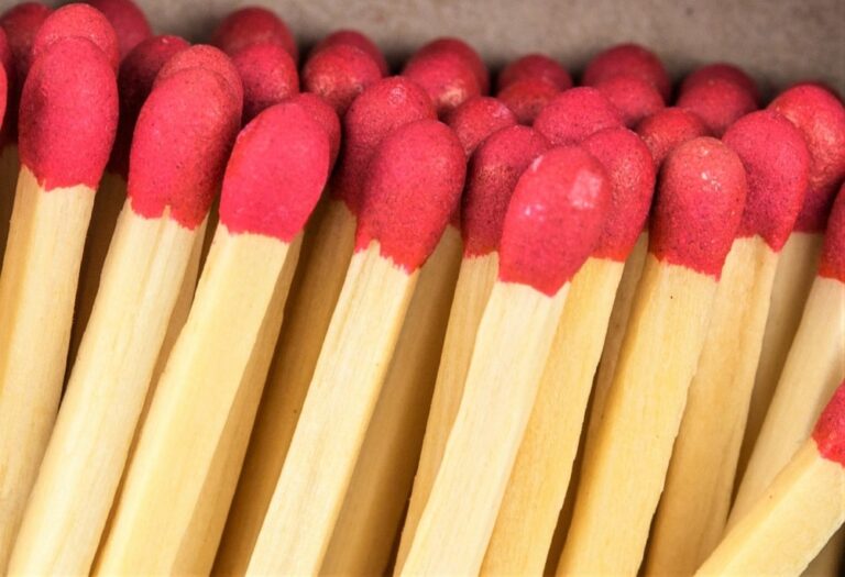 Fósforo en las plantas: Importancia y usos (Guía definitiva)