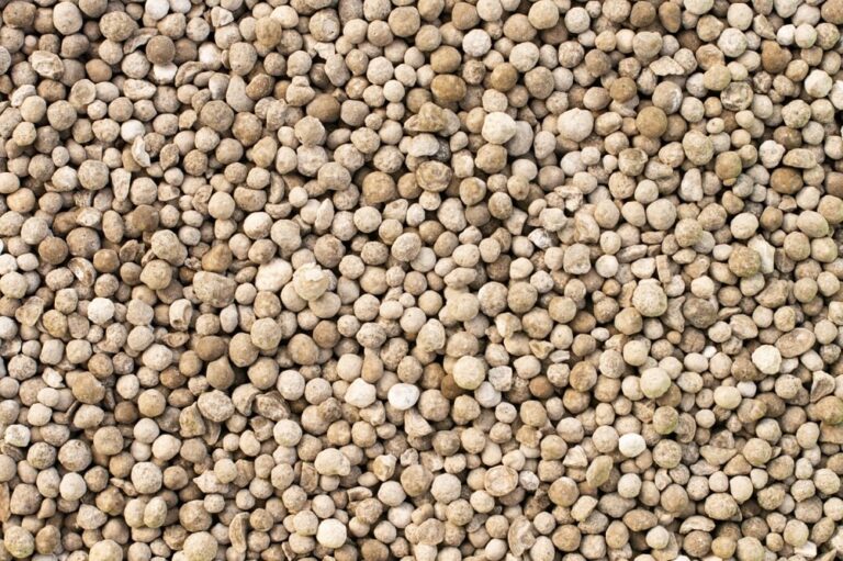 Fósforo en las plantas: Importancia y usos (Guía definitiva)