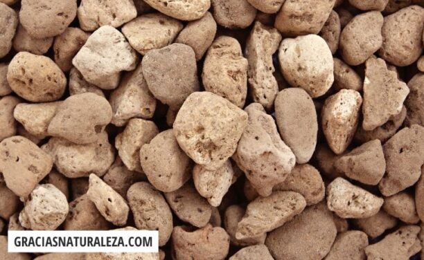 Pómice para tu bonsái - ¿Qué es y DÓNDE comprarlo?