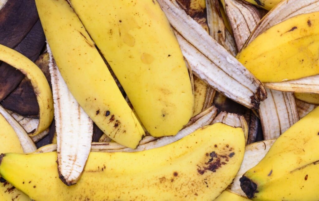 Importancia del POTASIO en las plantas: ¿Déficit o exceso?