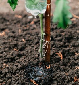 Riego por goteo CASERO: Guía fácil con todos los sistemas