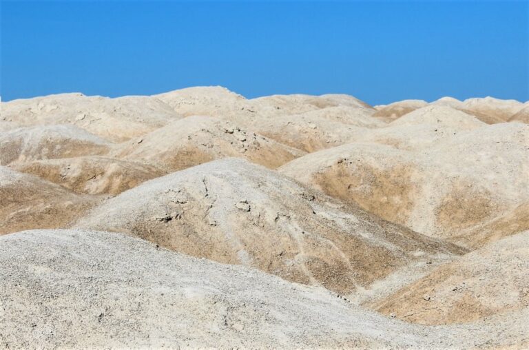 Suelo calizo: Características, Qué sembrar y Cómo mejorarlo