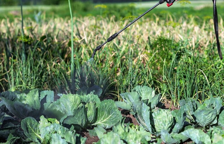 Azufre para Plantas: Funciones, Toxicidad y Cómo usarlo bien