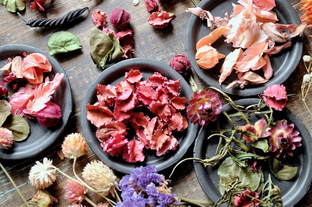 Conservar FLORES: 11 Trucos que funcionan (Guía fácil y útil)