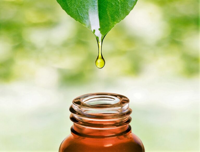 Extractos de plantas: Qué son, Usos y Cómo se preparan