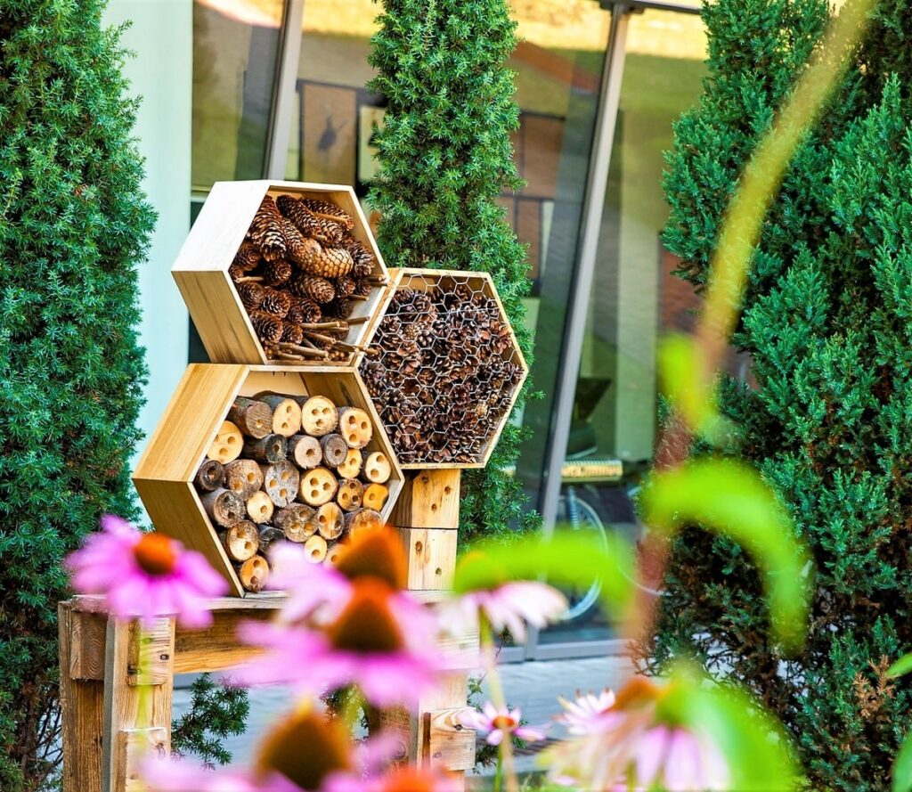 Restos de PODA: 7 Usos legales, fáciles y muy provechosos