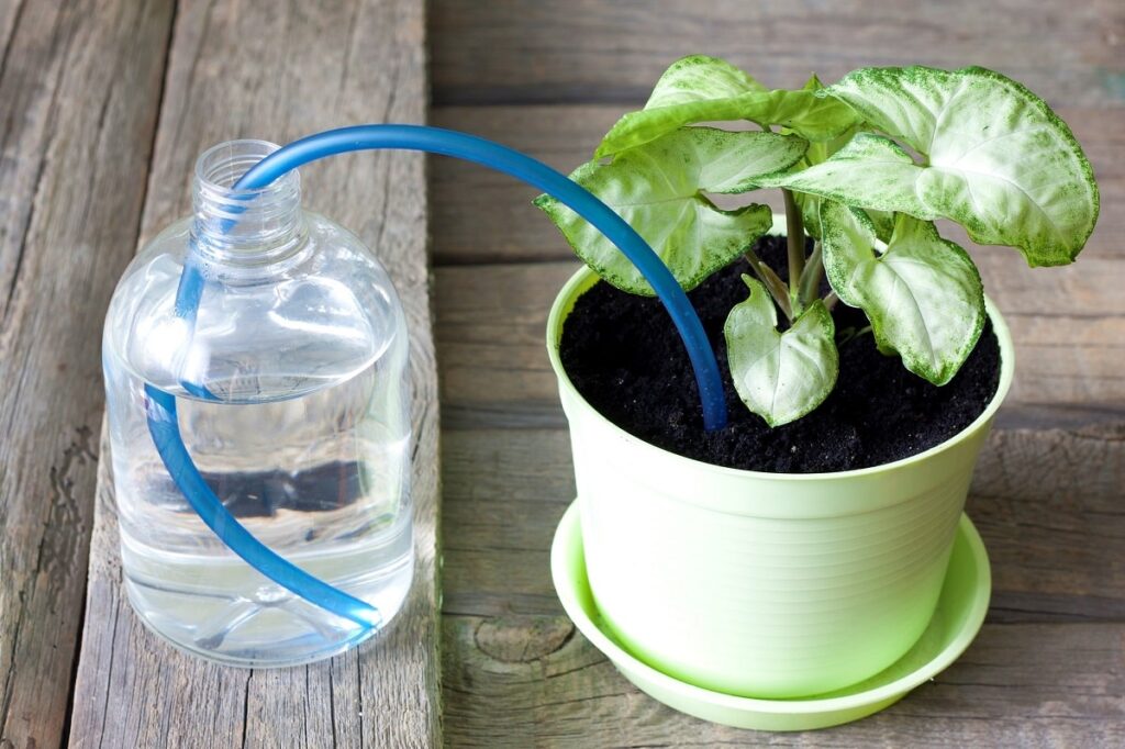 Riego por CAPILARIDAD - Qué es y Cómo montar tu sistema