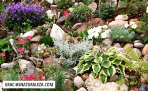 ROCALLA - ¿Cómo construir un precioso jardín de rocas?