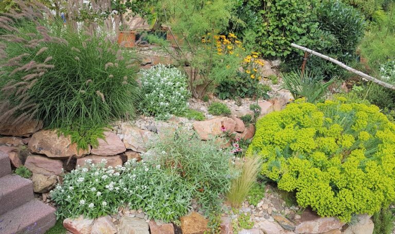 ROCALLA - ¿Cómo construir un precioso jardín de rocas?