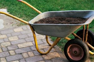 Tierra negra: Qué es, Para qué sirve, Beneficios y Precio