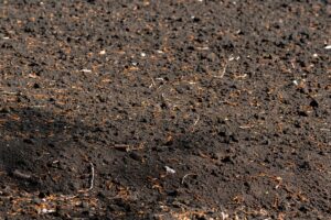 Tierra negra: Qué es, Para qué sirve, Beneficios y Precio