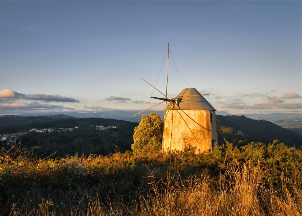 Agricultura de subsistencia - Qué es, Definición y Ejemplos