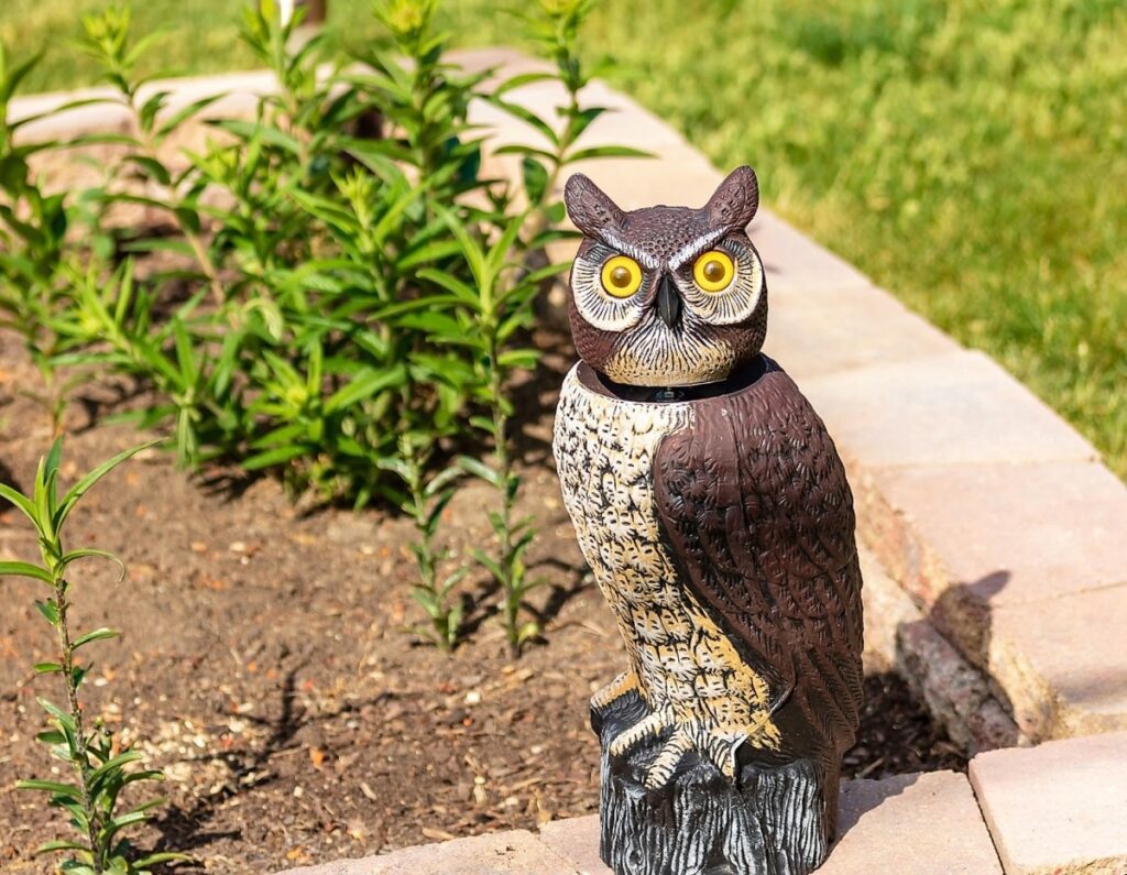 11 Trucos para Ahuyentar Pájaros (que de verdad funcionan)