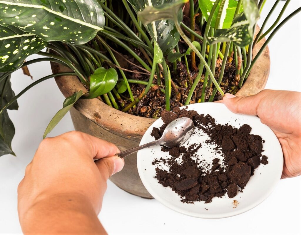 ¿Cómo ABONAR? La guía definitiva (para huerto o macetas)