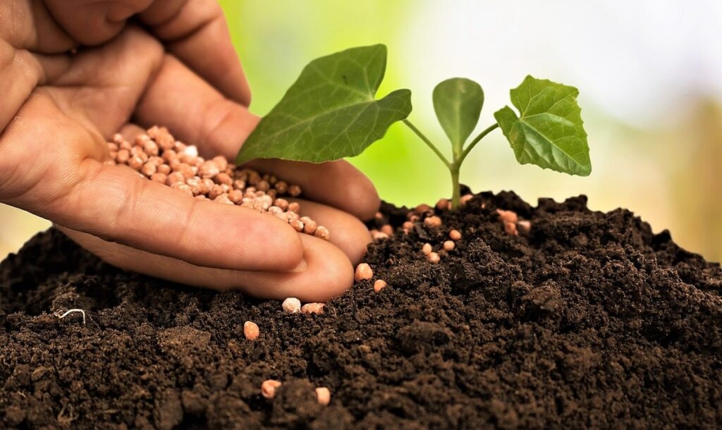 ¿Cómo ABONAR? La guía definitiva (para huerto o macetas)