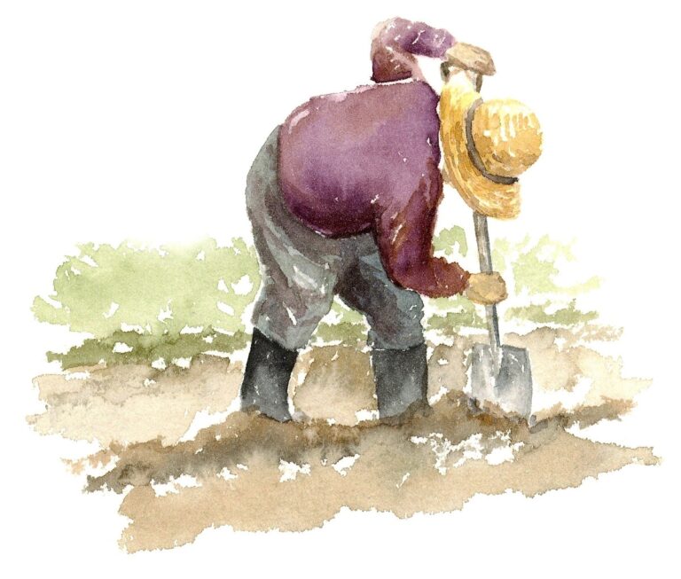 CÓMO ARAR: Guía definitiva manual, con máquinas o animal