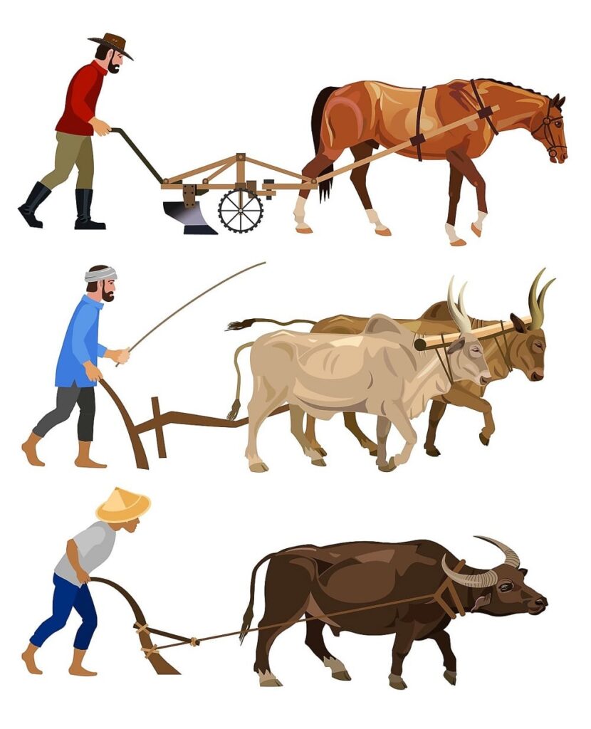 CÓMO ARAR: Guía definitiva manual, con máquinas o animal