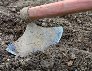 CÓMO ARAR: Guía definitiva manual, con máquinas o animal