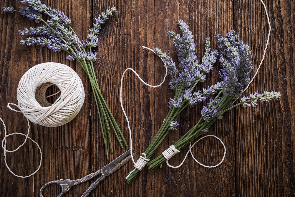 Cómo SECAR Lavanda: 5 Métodos que de verdad funcionan